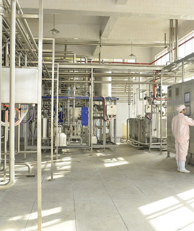 Cai Shuiqi’s Leadership at Zuming | Driving Innovation in China’s Soy ...